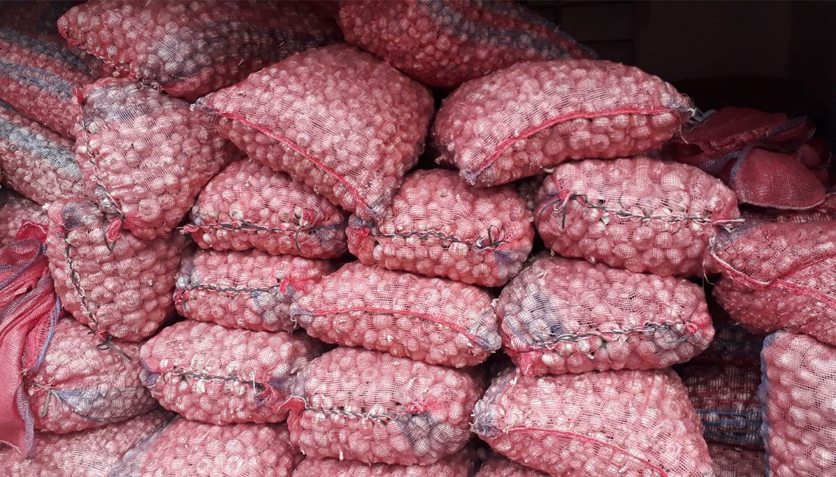 मारमा किसान : लसुनले मूल्य पाएन - कृषि सूचना