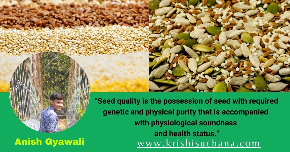 Major Seed Quality and Its Characters - कृषि सूचना
