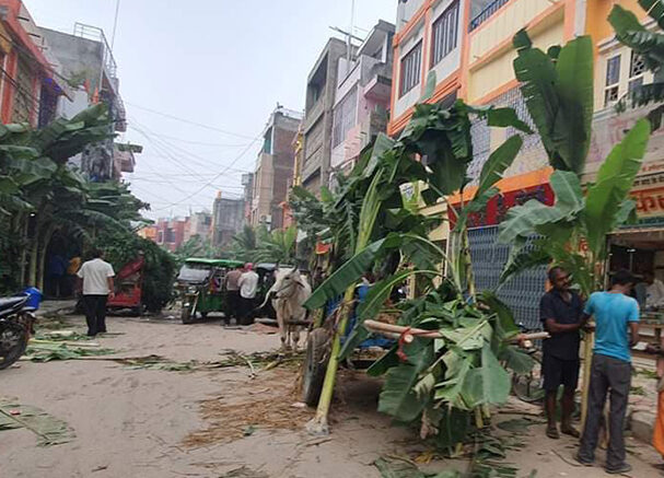 केराको बोट जोडाको २ सय रुपैयाँमा बिक्री: फल मात्र होइन, बोटबाट पनि ...